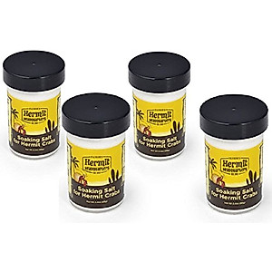 HERMIT HEADQUARTERS HERMIT CRAB SOAKING SALT