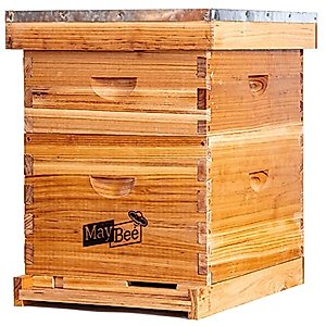 Bee Hive 10 Frame Bee Hives and Supplies Starter Kit, Bee Hive for Beginner, Honey Bee Hives Includes 1 Deep Bee Boxes, 1 Bee Hive Super with Beehive Frames and Foundation