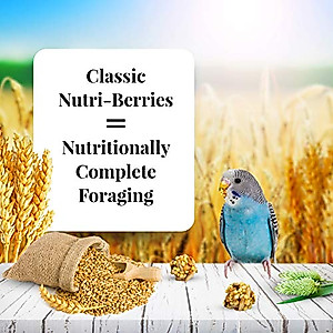 LAFEBER'S Classic Nutri-Berries Pet Bird Food, Made with Non-GMO and Human-Grade Ingredients, for Parakeets (Budgies), 4 lb
