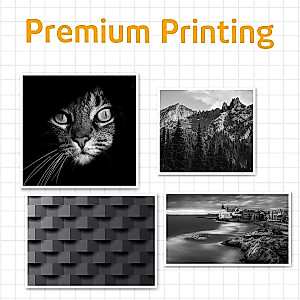 CHINGER TN760 Compatible Toner Cartridge Replacement for Brother TN760 TN-760 TN730 Used with HL-L2350DW HL-L2395DW HL-L2390DW DCP-L2550DW MFC-L2750DW HL-L2370DW MFC-L2710DW (2 Black, High Yield)