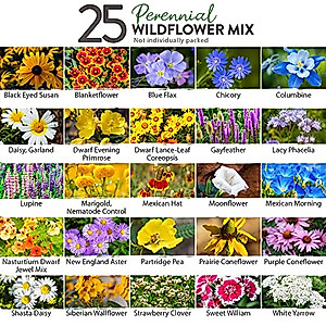 120,000+ Wildflower Seeds Bulk: (4oz) Perennial Wild Flower Seeds for Planting Mix - Butterfly Garden Seeds for Attracting Birds & Bees - 25 Wildflowers: Blue Flax to Coneflower and More