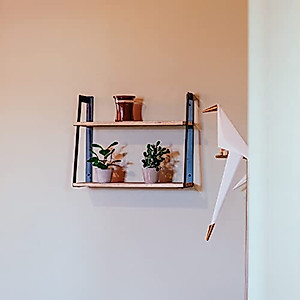 Creekview Home Emporium 2 Tier Bookshelf Black Wall Shelf - 2 Wooden Industrial Floating Shelves for Bed and Bathroom