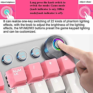 Mechanical Gaming Keyboard, with Multimedia Knob, Wrist Rest, Metal Panel, White LED Backlit, Pink and White PBT Keycaps, USB Wired Full-size Keyboard for Gamer Office PC Laptop Mac (Blue Switch)