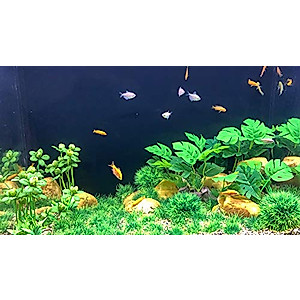 Artificial Aquarium Green Water Plants Grass Ball Set 25 Pcs, Fish Tank Aquarium Decorations, Made of Soft Plastic