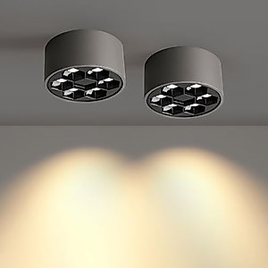 YAOWSZM 2Pack Modern Flush Mount Ceiling Lights 6W LED Dimmable Ceiling Light Fixture Gray Cylindrical Ceiling Spotlight for Living Room Hallway Kitchen