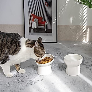 Qucey Ceramic Cat Food and Water Bowl Set, Raised Tilted Cat Feeder Dishes with Stand, Elevated Pet Food Bowl for Cats and Small Dogs, Anti Vomiting & Reduce Neck Burden