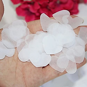 Yisowank 8000pcs Heart Shaped Biodegradable Wedding Confetti Paper Confetti for Anniversary,Birthday,Graduation,Wedding,Bridal Shower and Baby Shower Parties decoration (White)