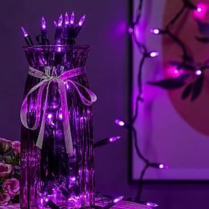 YULETIME 200 Purple LED Christmas Lights with Black Wire 66 Ft, Pack of 2 Strands 33 Ft 100 Lights UL Certified Halloween String Light Set (Purple - Black Wire)