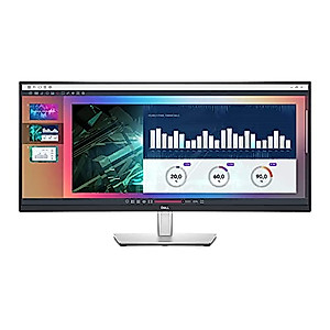 Dell P-Series P3421W 34-Inch Wide Quad High Definition Curved USB-C IPS Monitor (Black) Bundle with HD Webcam for Video Conferencing, Recording, and Streaming (Black) (2 Items)