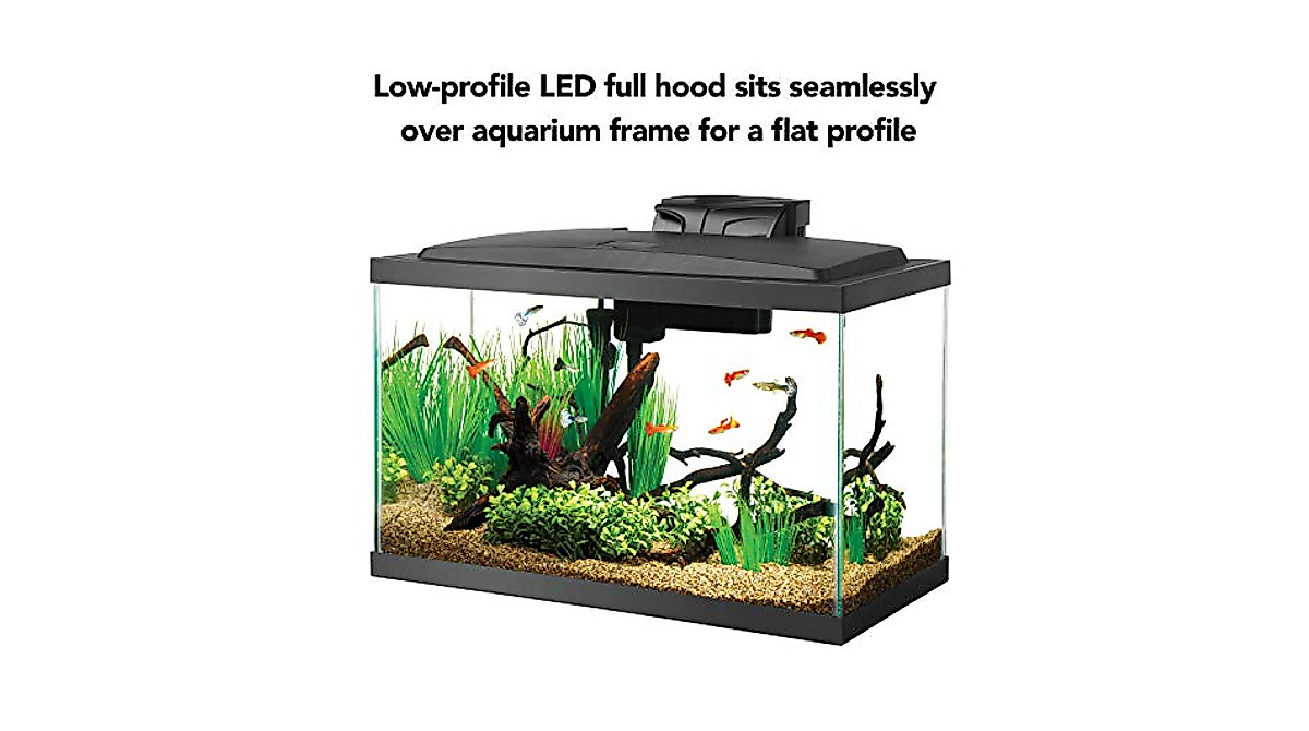 Aqueon 10 Gallon Aquarium Kit with LED Lighting & Filter