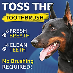 Dental Gels for Dogs, Turn & Taste Dog Toothpaste, Dog Dental Care, Continually Freshens Breath for 24 Hours, Delicious Flavors Like Chicken, No Brush Toothpaste for Dogs