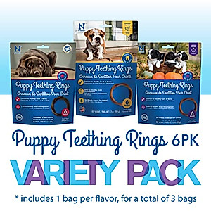 N-Bone Puppy Teething Rings 6 Count Bag Variety Pack, Chicken & Pumpkin & Blueberry BBQ Flavor, Total 3 Bags, 21.6-oz, 18 Rings