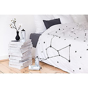 Montana Cans Montana Effect 400 ml Marble Color, Silver Spray Paint, 13.5 Fl Oz (Pack of 1)