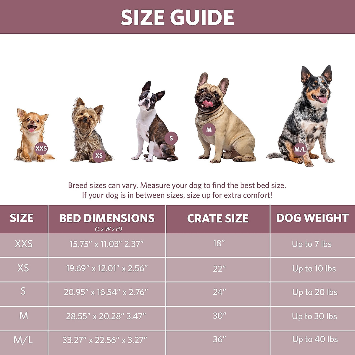 MidWest Homes for Pets Bolster Dog Bed 18L-Inch Pink Dog Bed or Cat Bed w/ Comfortable Bolster | Ideal for "Toy" Dog Breeds & Fits an 18-Inch Dog Crate | Easy Maintenance Machine Wash & Dry