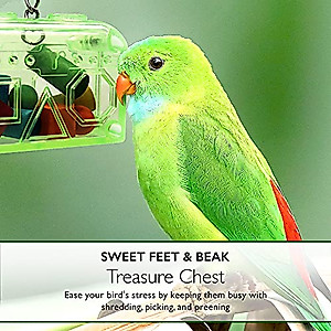 Sweet Feet and Beak Large or Small Treasure Chest - Perfect Bird Cage Toy Colorful, Safe, Easy to Install - Washable, Refillable, Non-Toxic, Foraging Box - Cage Accessories