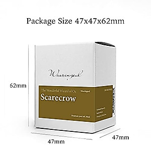 Scarecrow - The Wonderful Wizard of Oz Literature Ink Set_Bottled Ink Fountain Pen Dip Pen Writing Instrument Calligraphy Drawing