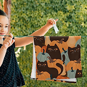 VKPSCHJ Cute Black Cats Pumpkins Bath Hand Towels Set of 2 Fall Halloween Kitchen Dish Towel Fingertip Towel for Bathroom Home Stove Decor Absorbent Soft