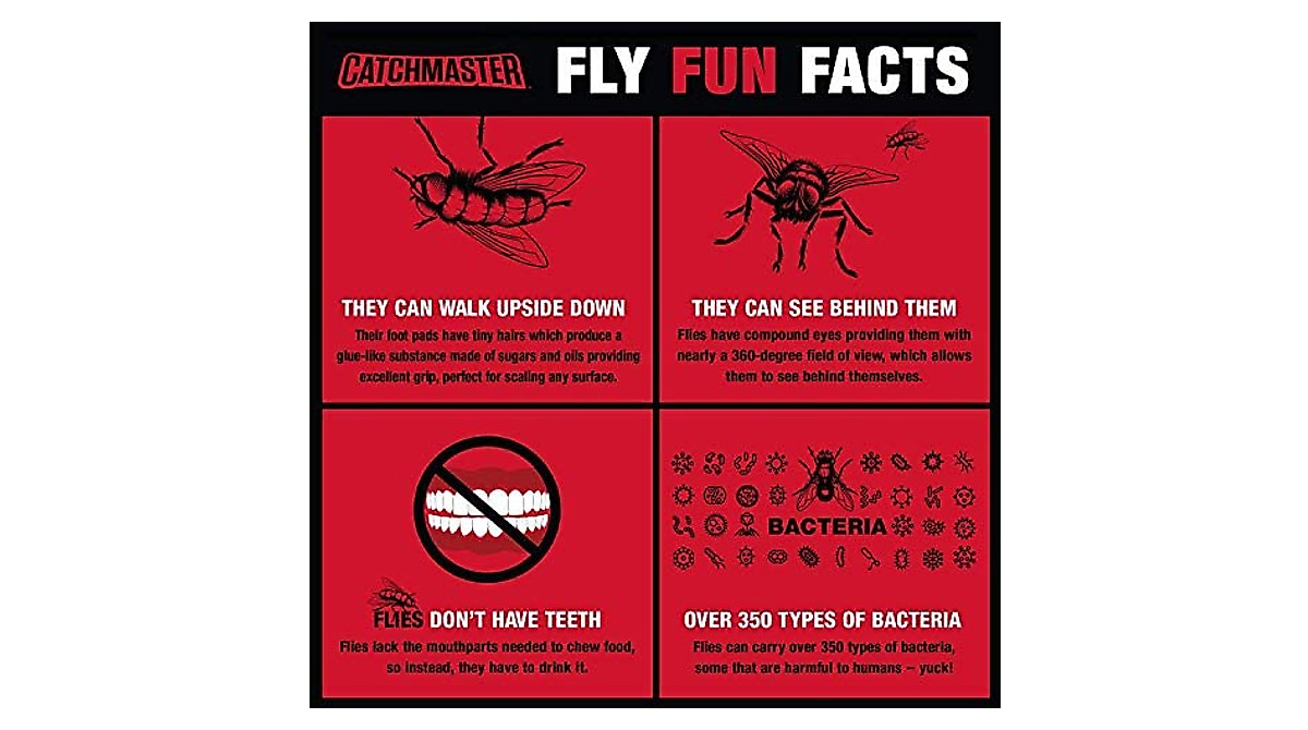 Catchmaster Reusable Fly Jar - Effective Insect Trap