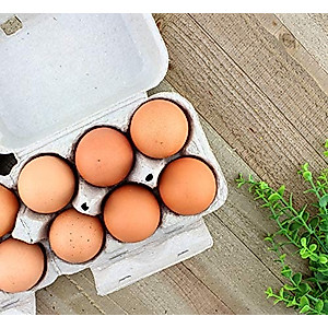 Cornucopia Half Dozen Egg Cartons (30-Pack); Split Apart Style for 6 Egg or 12 Egg Use; Holds 180 Eggs Total