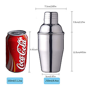 Delidge Small Cocktail Shaker Mini Martini Shaker Stainless Steel Drink Shaker with Strainer and Lid Top, Single Martini（250ml+350ml）