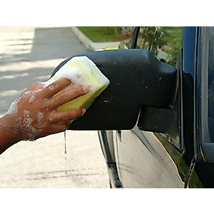 Safe Scrub Bug & Tar Pad