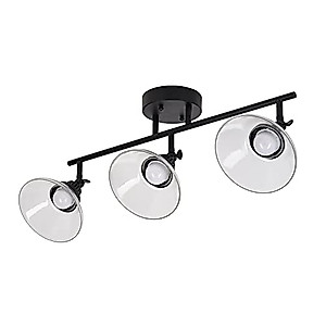 Catalina 23" Classic 3-Light Integrated LED Track Light with Adjustable Clear Glass Shades, Black