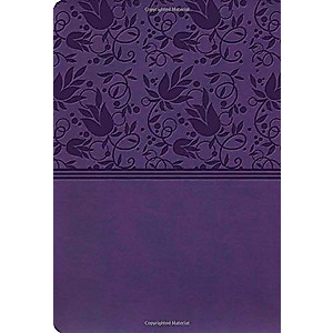 NIV Rainbow Study Bible, Purple LeatherTouch Indexed