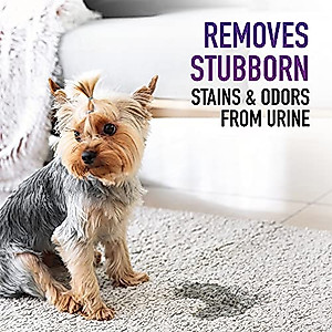 Hoover Paws & Claws Urine Eliminator Spray, 22 oz., 2 Pack, Fresh Scent, Pet Spot and Stain Remover for Carpet & Upholstery, Tackles Tough Pet Messes & Stains, Pair with Hoover Carpet or Spot Cleaner