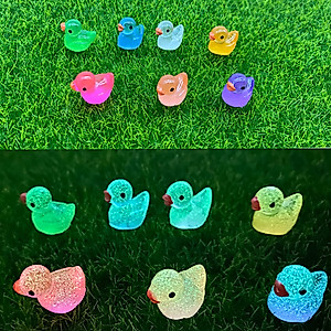 AWAWEELON 100 Pcs Luminous Tiny Ducks Mini Resin Ducks Miniature Duck Figures Micro Dollhouse Duck Accessories for DIY Micro Landscape Fairy Garden Dollhouse