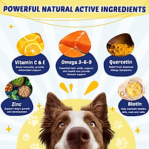 Omega 3 for Dogs with Salmon Oil, Fish Oil for Dogs Skin and Coat Supplement, Dog Allergy Relief, Hot Spot Treatment, Anti Shedding, Hip & Joint Support with EPA & DHA, Biotin, Vitamin E - 40 Servings