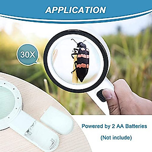 Magnifying Glass with 12 LED Lights, 30X Double Glass Lens Handheld Illuminated Magnifier Reading Magnifying Glass with for Seniors Read, Coins, Stamps, Map, Inspection, Macular Degeneration