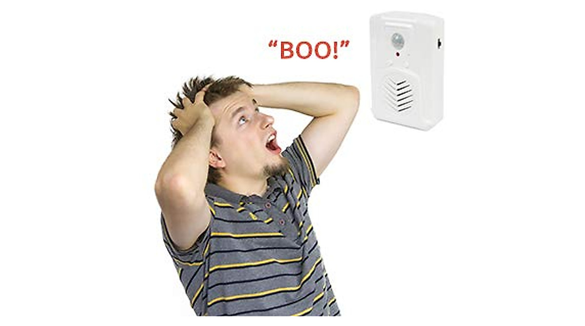 SierraTeck Motion Activated Voice Player - Recordable, Built-in ...