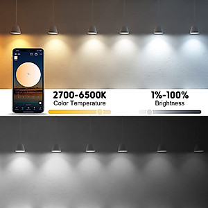 LAPURETE'S Alexa Smart Light Bulbs, Lapurete's LED RGBCW Color Changing,85W Equivalent E26 9W WiFi Led Bulb , Work with Google Home Amazon Echo, 2.4Ghz WiFi Only, No Hub Required 4 Pack