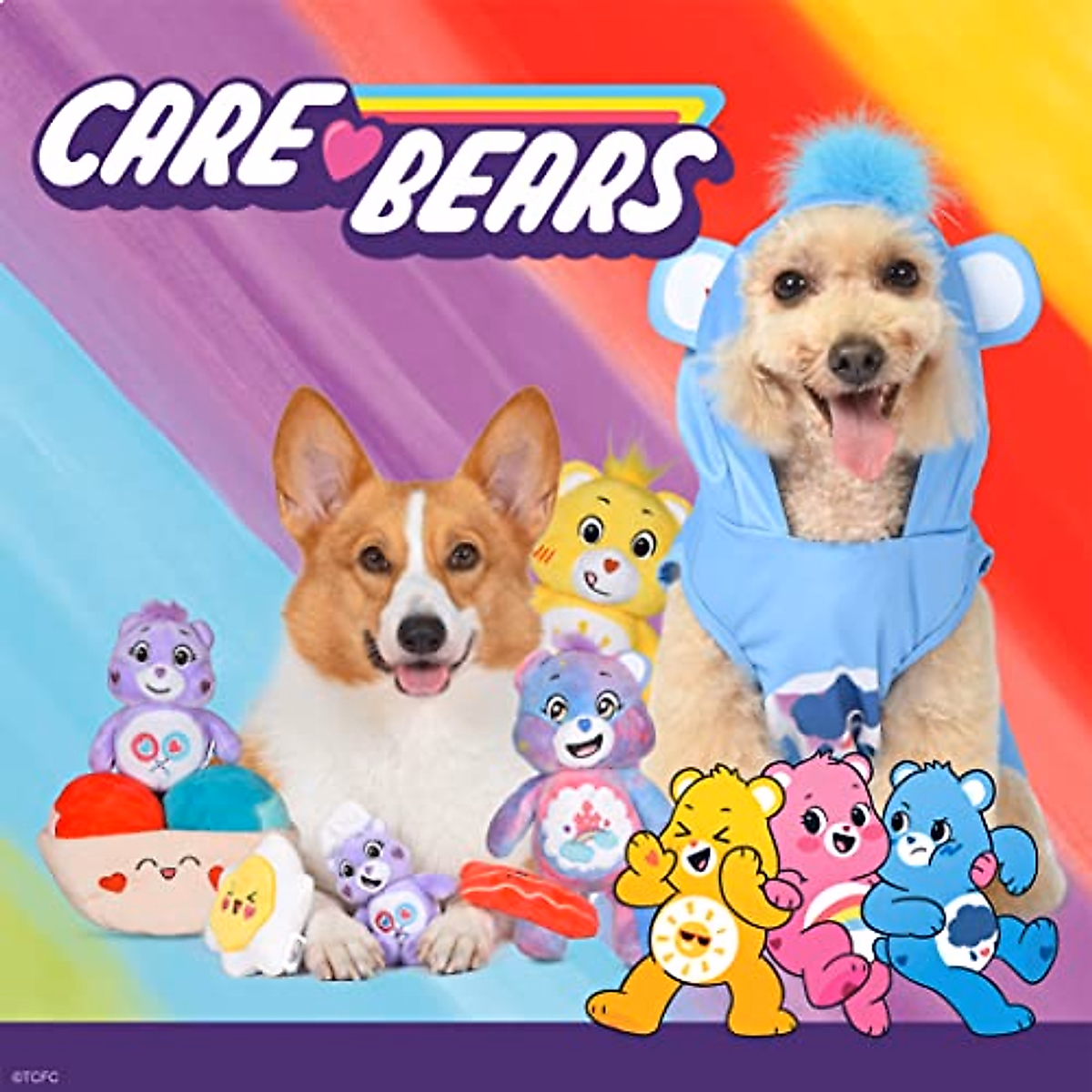 Care Bear for Pets 2PC Set Share Bear Squeaker Flattie Plush Dog Toy With Crinkle Texture Cookie, 4" Small Collectible Toy (FF20238)