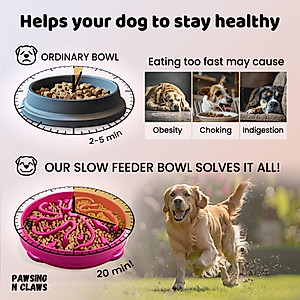 Pawsing N Claws Slow Feeder Dog Bowl - Anti-Choking & Non Slip Interactive Dog Feeding Bowls for Dry/Wet Food That Slow Down Eating Dog Bowl - Maze Puzzle Design Bowl - Large (Purple)