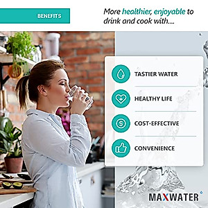 BB Water Filters - GAC 20BB Granular Activated Carbon Water filter size 20"x4.5" Fits most standard 20 inch size housings and most Whole House Big Blue systems.