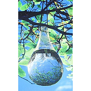 Esschert Design Glass Fly Deterrent