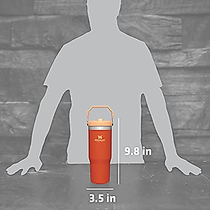 Stanley IceFlow Stainless Steel Tumbler with Straw - Vacuum Insulated Water Bottle for Home, Office or Car - Reusable Cup with Straw Leakproof Flip - Cold for 12 Hours or Iced for 2 Days (Tigerlily)