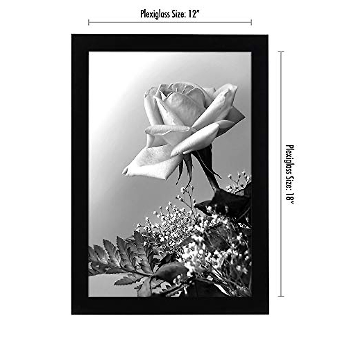 Americanflat 12x18 Poster Frame in Black - Composite Wood with Polished Plexiglass - Horizontal and Vertical Formats for Wall with Included Hanging Hardware