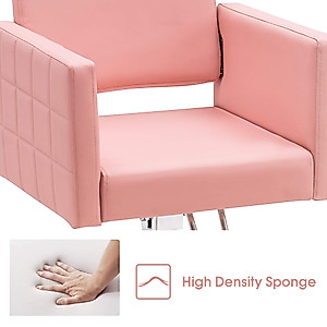 BarberPub Salon Chair for Hair Stylist,Hydraulic Barber Styling Chair, Beauty Spa Equipment 8821 (Pink)
