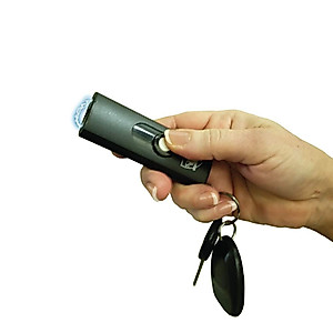 Streetwise Mini Keychain Stun Gun 22,000,000 Volts (Small Size, BIG Power) BLACK
