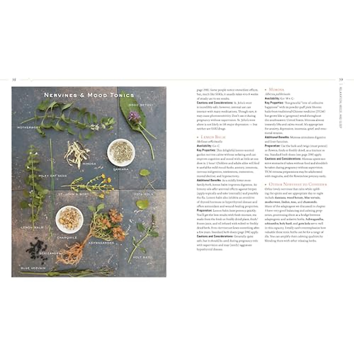 Body into Balance: An Herbal Guide to Holistic Self-Care