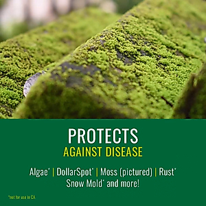 Natria Lawn Weed and Disease Control, Concentrate, 24 oz