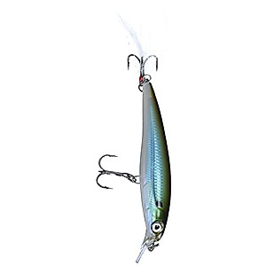 Rapala X-Rap 08 Fishing lure, 3.125-Inch, Moss Back Shiner