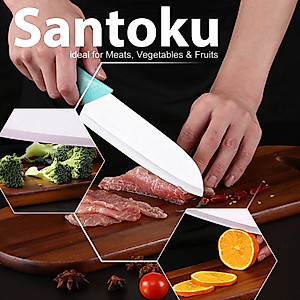 Rynal Ceramic Knife Santoku Knife Meats Fruits Vegetables Knife - Sharp Ceramic Kitchen Knife with Sheath Cover - 7 Inch Aqua