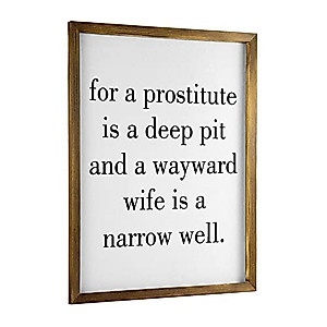 Home Decor Wood Sign for A Prostitute Is A Deep Pit And A Wayward Wife Is A Narrow Well. Framed Wood Sign,Rustic Wall Art Sign 16"x20"