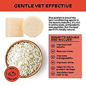 NOLE CARE Arnica Volume Conditioner Bar with Batana Oil - Rice Protein Conditioner Bar, Silky Hair Formula, Sustainable, Plastic-Free Packaging, 2.12 oz Bar