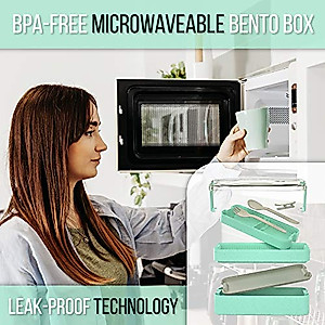 Edtsy Bento box for kids and adults with Dividers 1100 ml - Leakproof lunchbox with utensils - Lunch Solution Offers Durable, Leak-Proof, On-the-Go Meal and Snack Packing (Green)