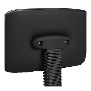 Hydraulic Saddle Salon Stool Massage Chair Tattoo Facial Spa Office Backrest