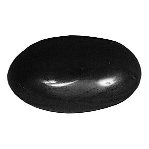 SynSpiritStore Original Shaligram/Shalagram Shila Stone (Approx. 6~9 cm) for Lord Vishnu Pooja and Tulsi Pooja, Nepal Gandaki River Stone